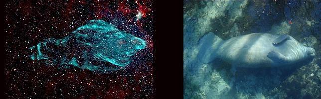 Pareidolias: las cosas más raras que hemos visto en el espacio