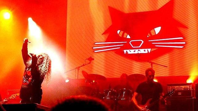 Los Suaves amplían su gira «de los mil conciertos» Los Suaves amplían su gira «de los mil conciertos»