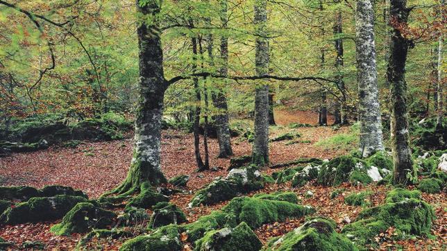 Cinco fines de semana perfectos en España
