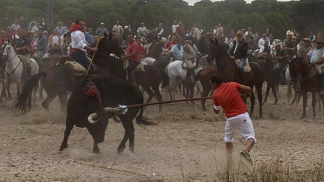 Diez fiestas en las que el toro es el protagonista...y la polémica política
