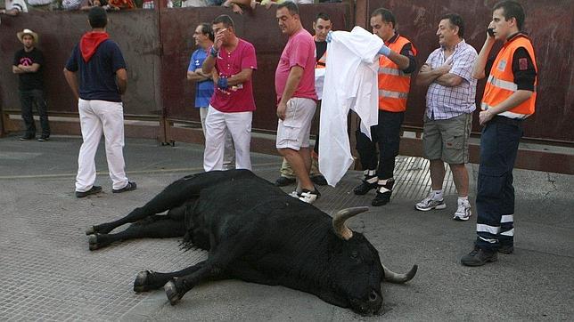 Un toro muere al chocar contra otro en el segundo encierro de Leganés