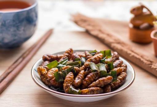 Abre tu mente a comer insectos: ricos en proteínas y bajos en grasas