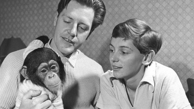 '¿Qué fue de los Durrell?': las verdaderas vidas de una familia ...
