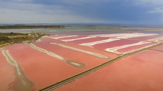 Se subasta por 10 millones una isla privada rodeada de mar rosa